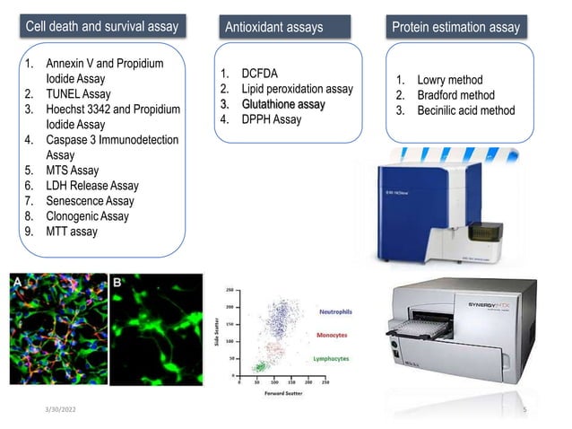 Biochemical assays.pptx | Chemistry | Science