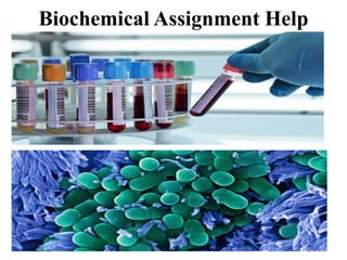 Biochemical Assignment Help | PPTX | Biological Sciences | Science