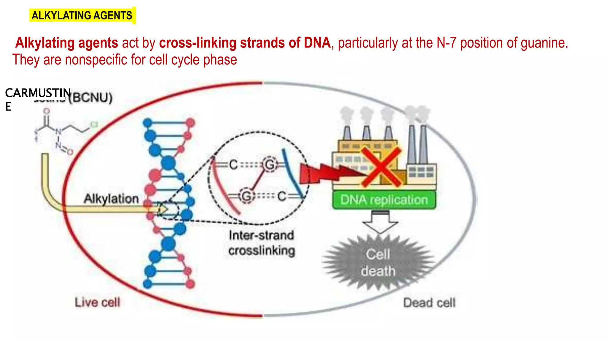 BIOCHEMICAL BASIS OF CANCER THERAPY.pptx