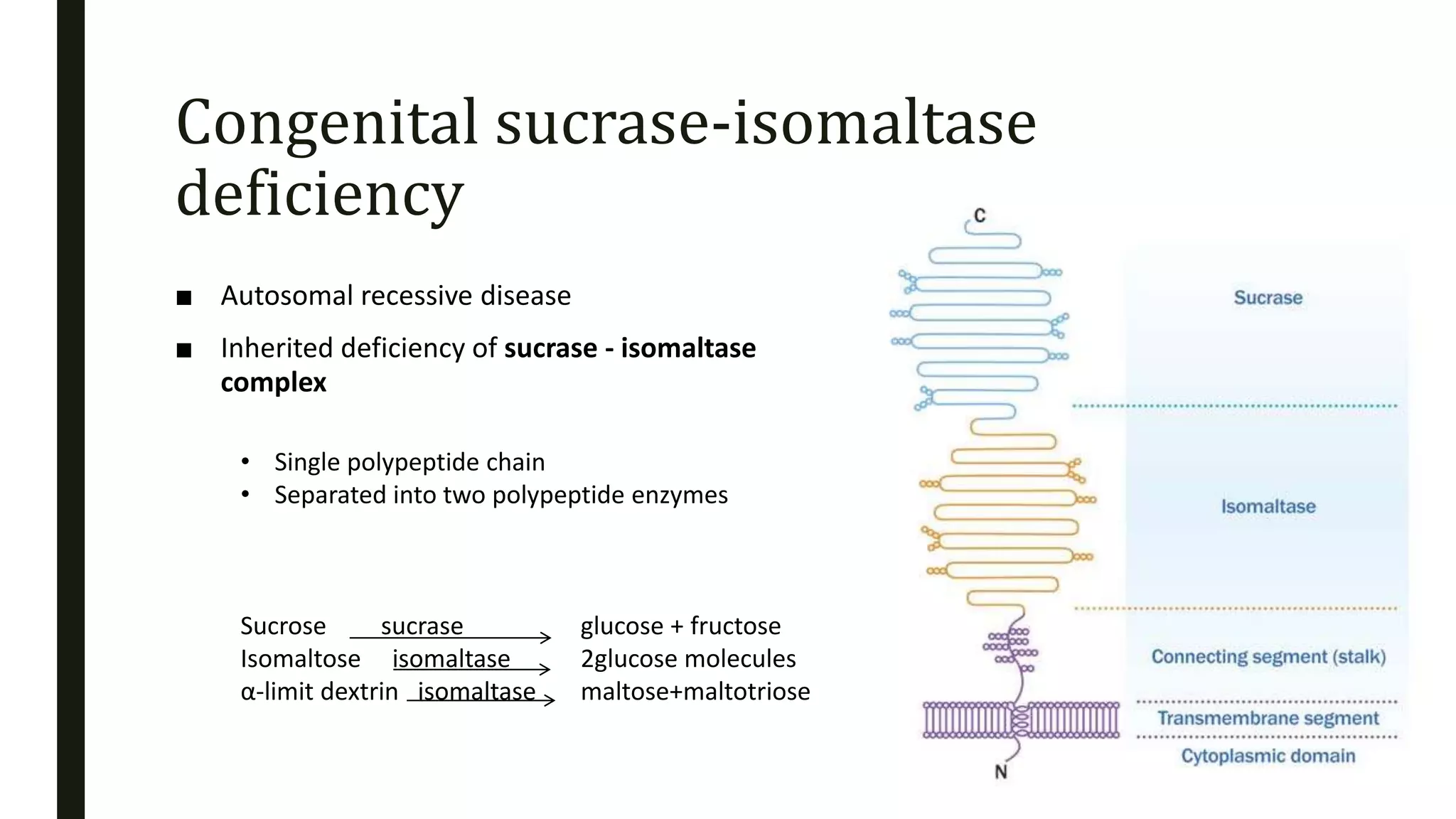 Biochemical basis of Gastrointestinal tract disorders | PPTX