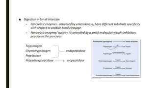 Biochemical basis of Gastrointestinal tract disorders | PPTX
