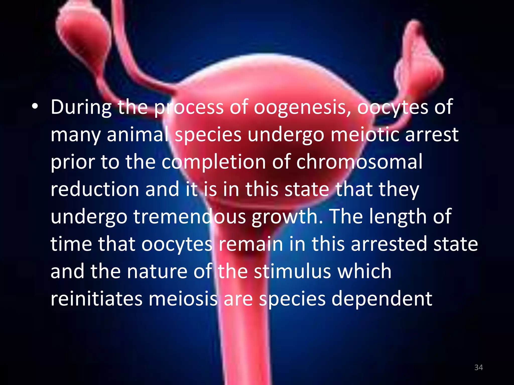 Biochemical changes during oogenesis | PPTX