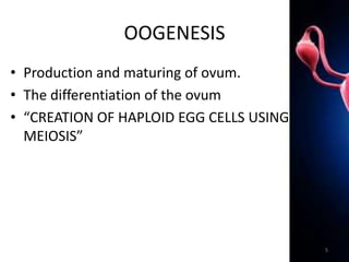 Biochemical changes during oogenesis | PPTX