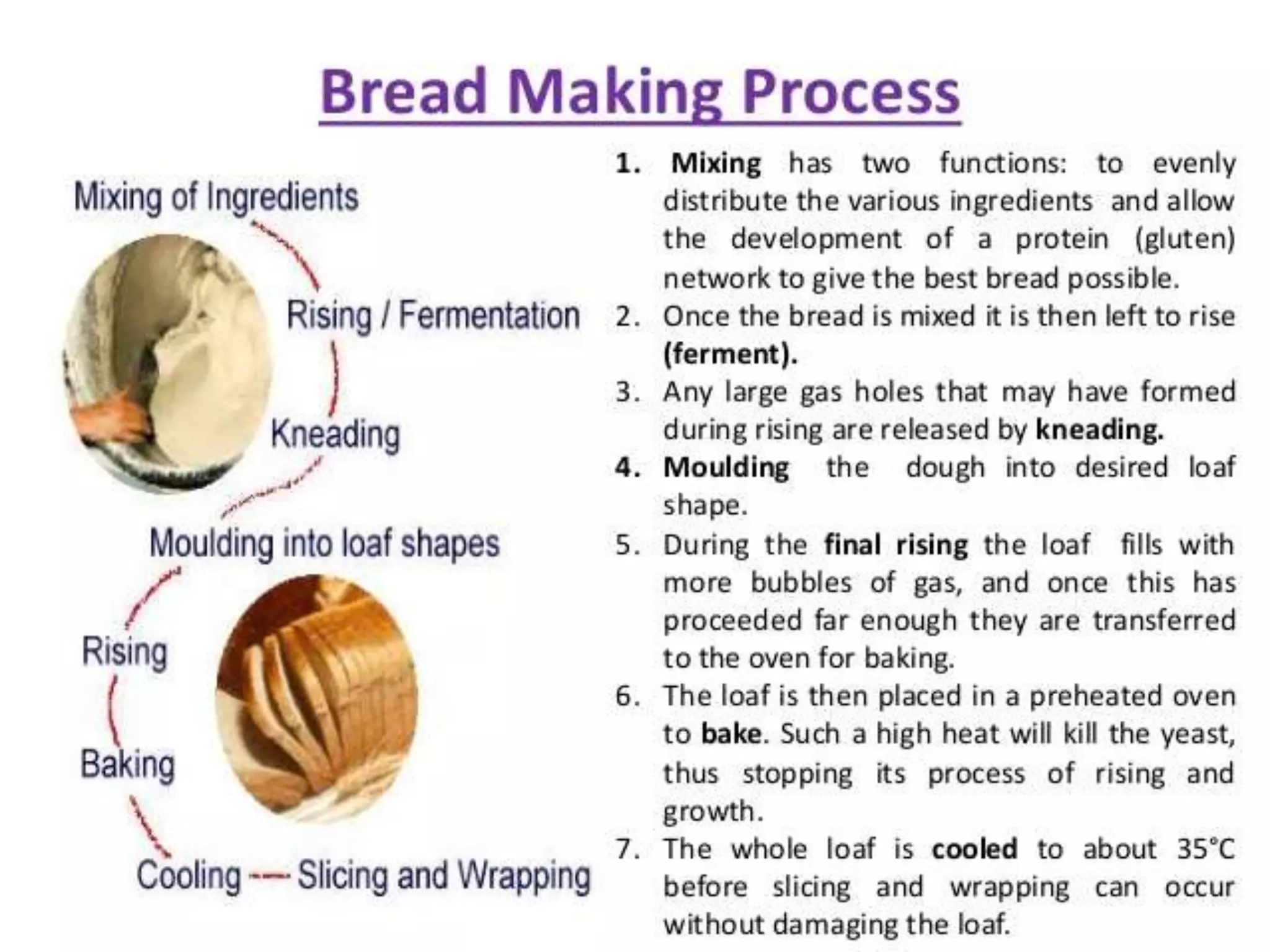 Biochemical changes in bread making | PPTX