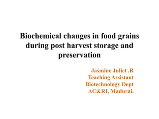 Biochemical changes in food grains | PPTX