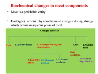 Biochemical changes as determinants for evaluating meat quality during ...