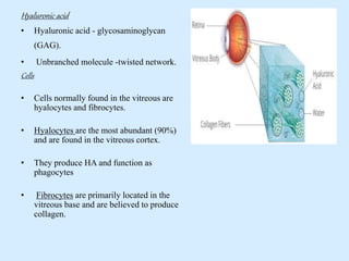 Biochemical changes of vitreous humour | PPTX