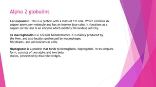 Biochemical characteristics of blood plasma proteins.pptx
