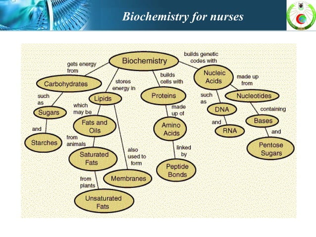 Biochemical compounds | PPT