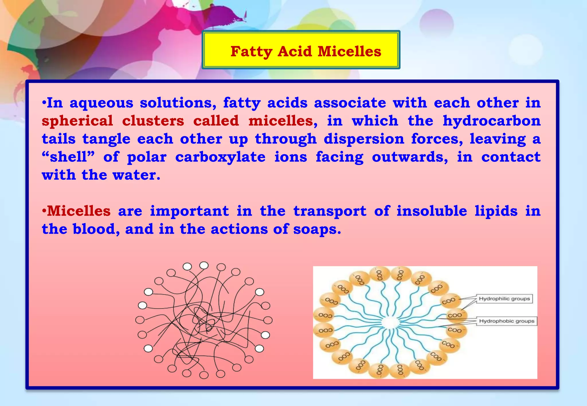 Biochemical concept of lipids | PPTX