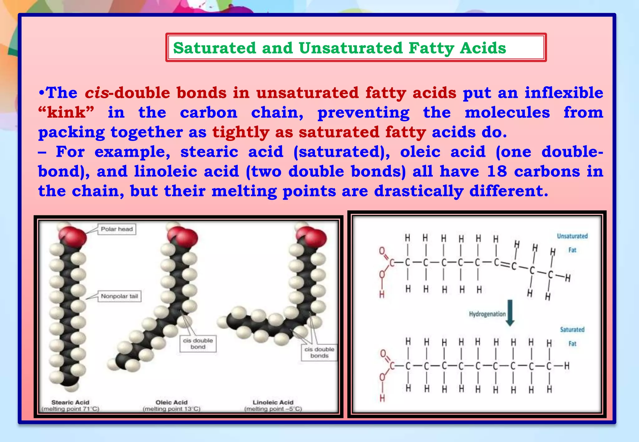 Biochemical concept of lipids | PPTX