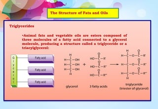 Biochemical concept of lipids | PPTX