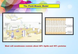 Biochemical concept of lipids | PPTX