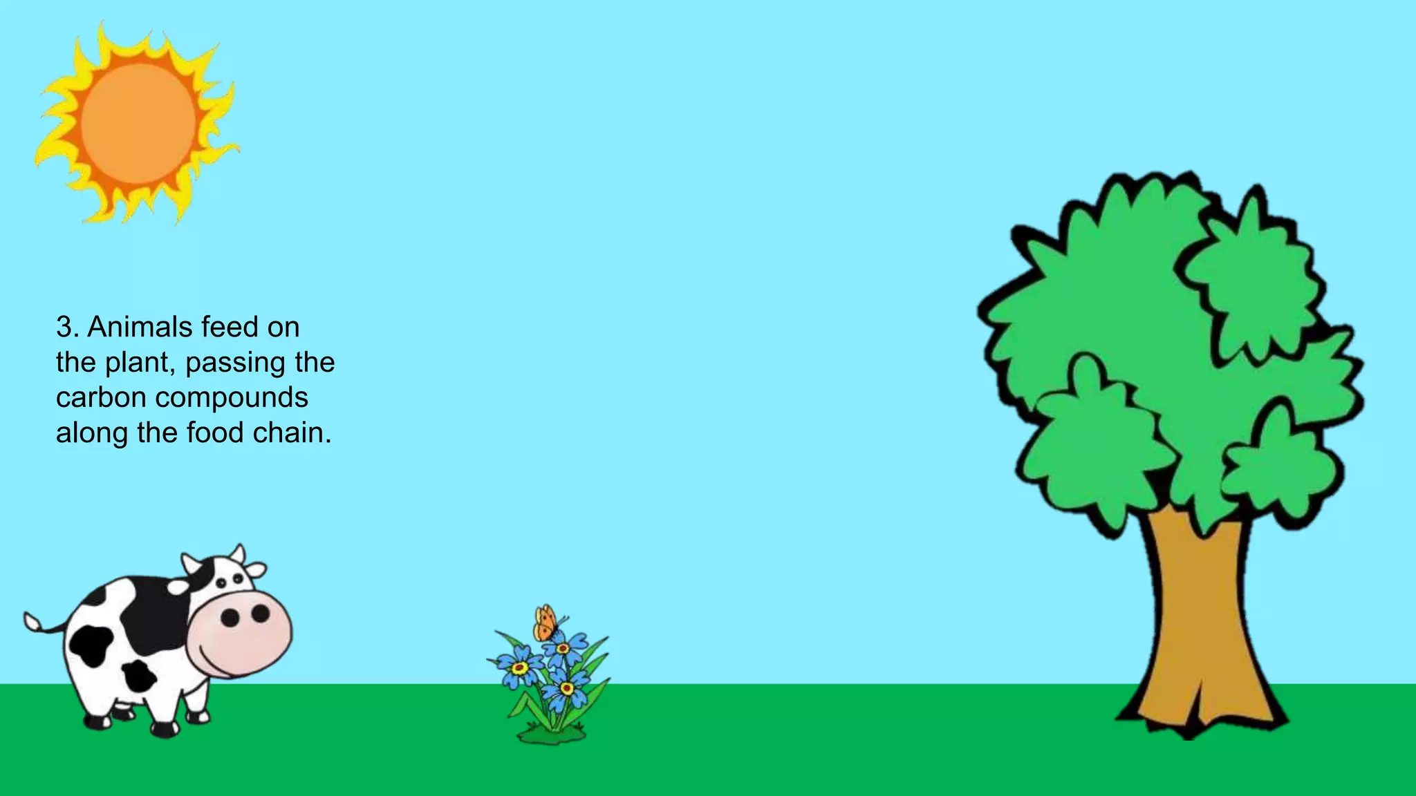 BiochemicalCycles.pptx | Chemistry | Science