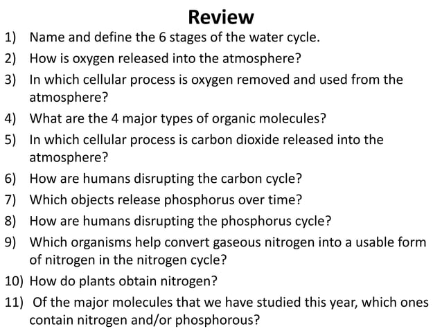 Biochemical Cycles Explained and In short | PPT