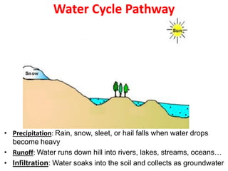 Biochemical Cycles Explained and In short | PDF