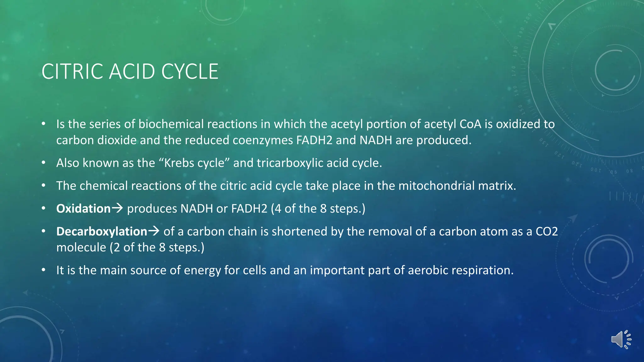 Biochemical energy production BIOCHEM.pptx