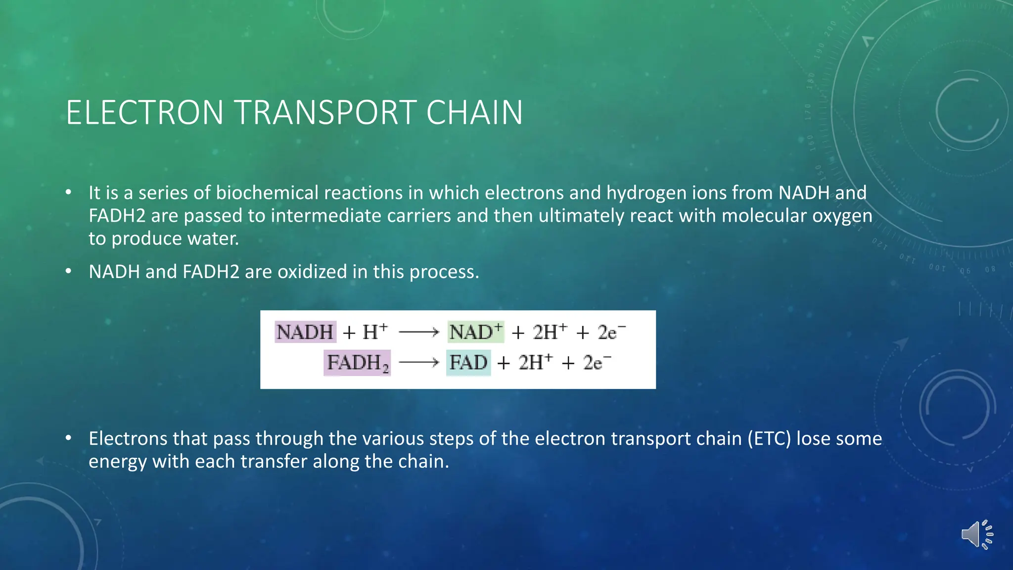 Biochemical energy production BIOCHEM.pptx