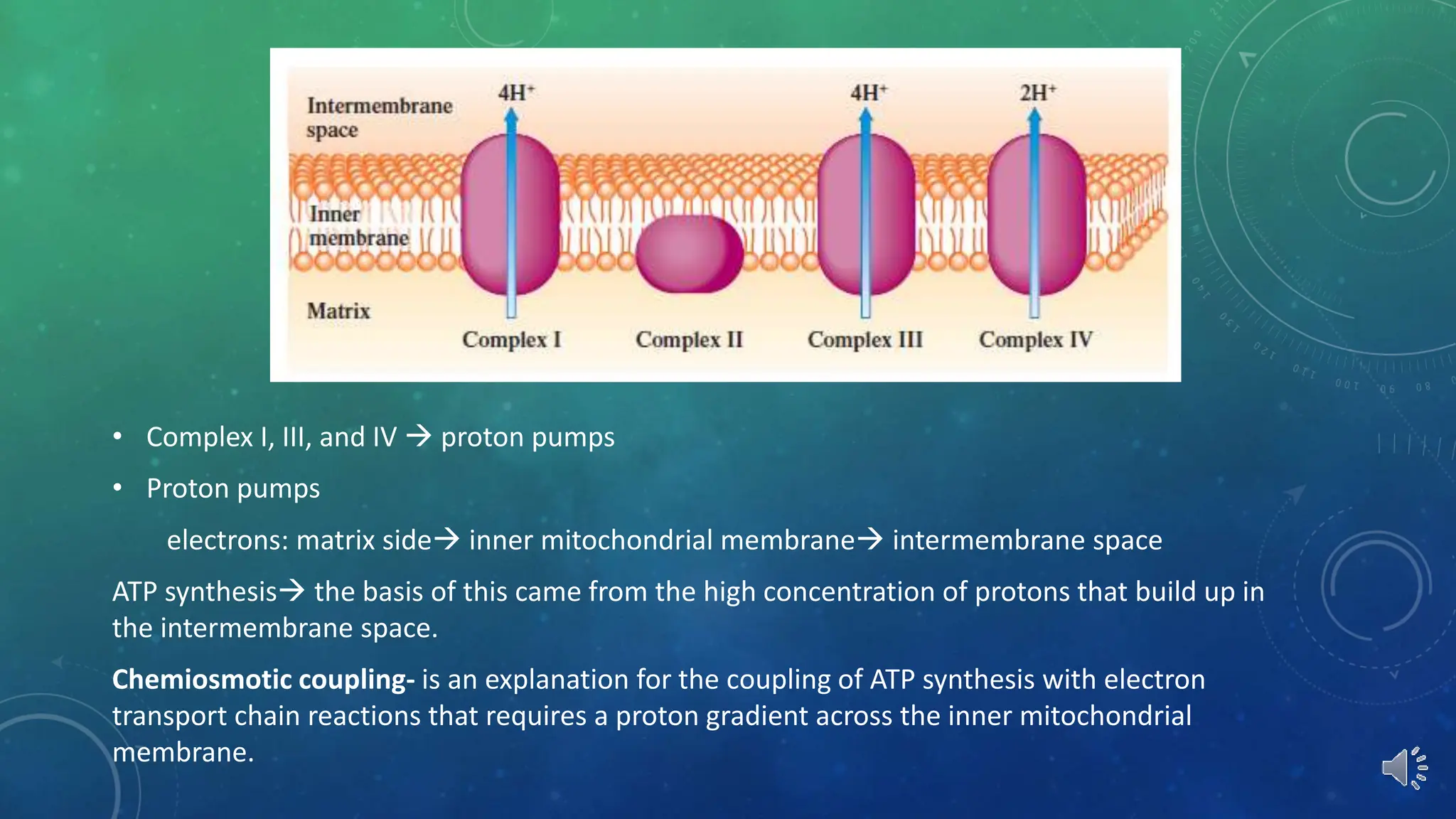 Biochemical energy production BIOCHEM.pptx