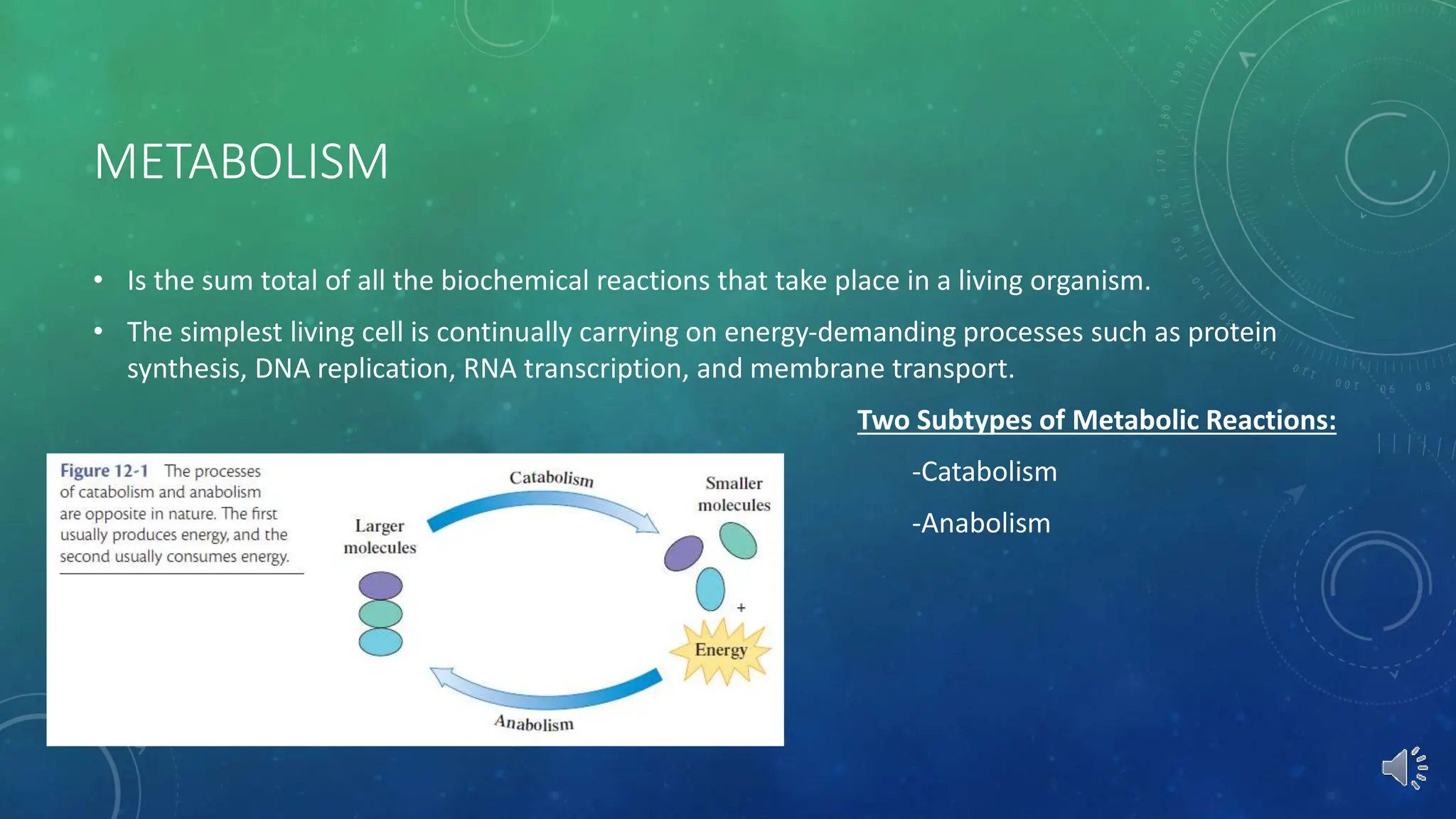 Biochemical energy production BIOCHEM.pptx