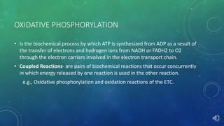 Biochemical energy production BIOCHEM.pptx