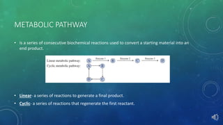 Biochemical energy production BIOCHEM.pptx