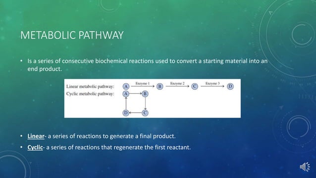 Biochemical energy production BIOCHEM.pptx | Biological Sciences | Science