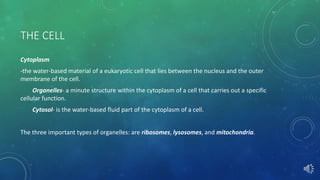 Biochemical energy production BIOCHEM.pptx