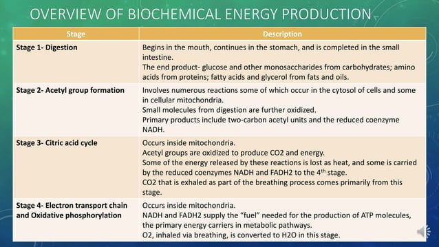 Biochemical energy production BIOCHEM.pptx | Biological Sciences | Science