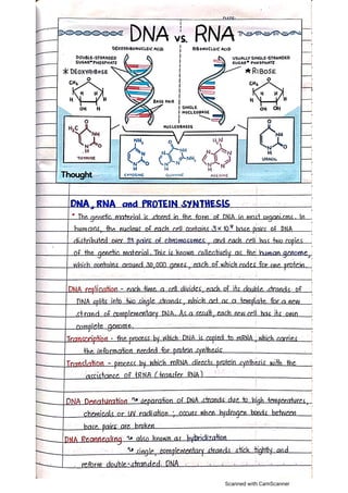 Biochemical Engineering Reviewer - Chem Eng | PDF