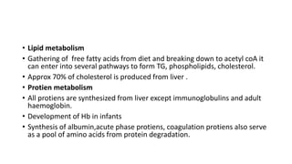 Biochemical functions of Liver.pptx