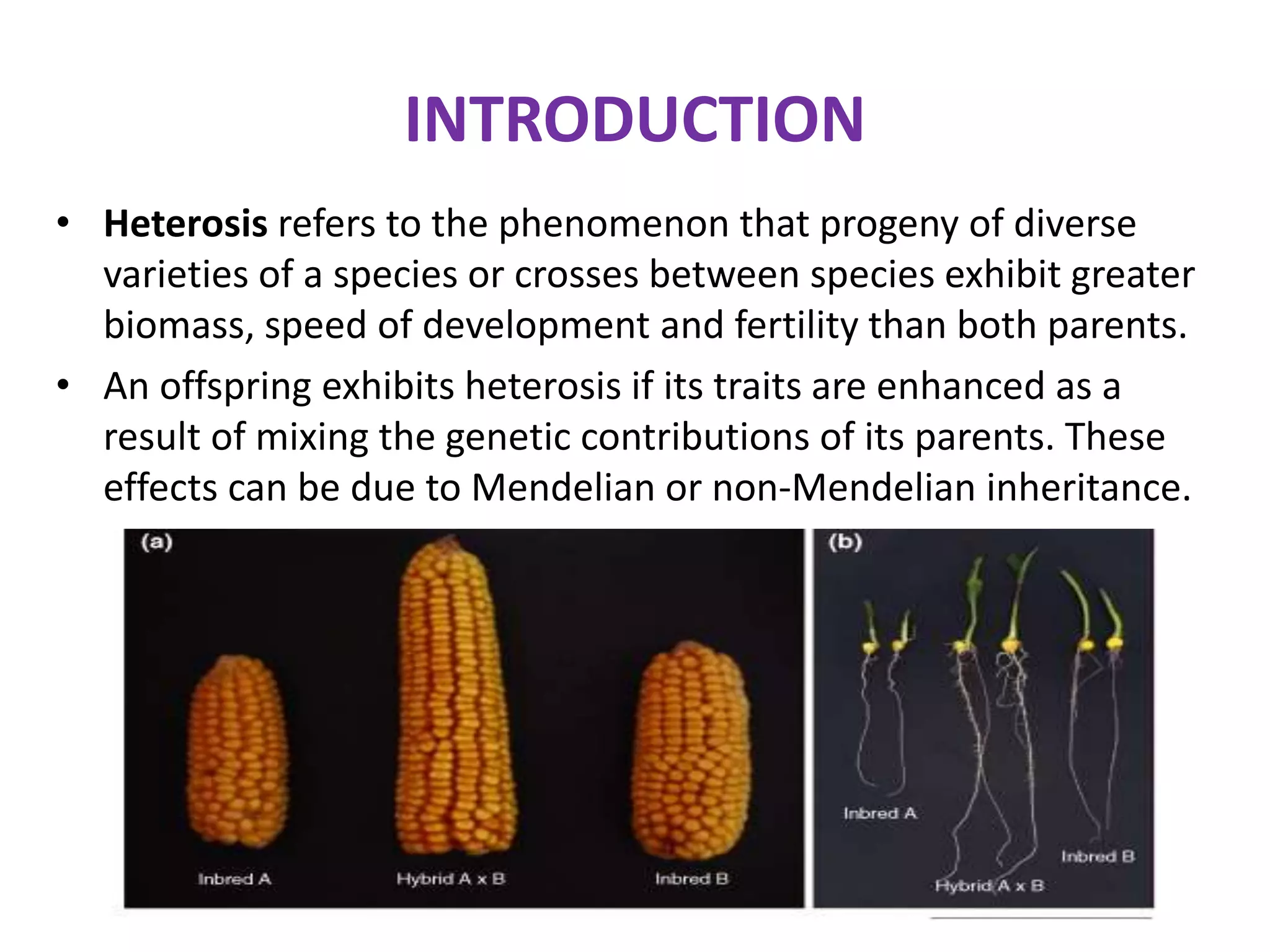 Biochemical basis of heterosis | PPTX