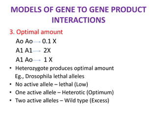 Biochemical basis of heterosis | PPTX