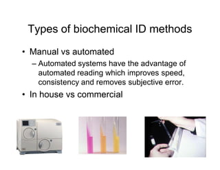 biochemical_identifcation_of_bacteria_slides.pdf