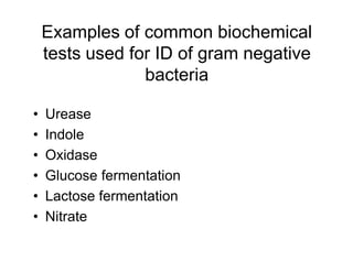 biochemical_identifcation_of_bacteria_slides.pdf