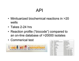 biochemical_identifcation_of_bacteria_slides.pdf