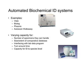 biochemical_identifcation_of_bacteria_slides.pdf