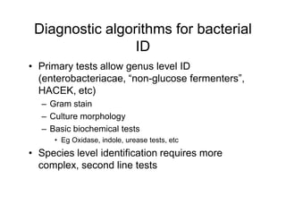 biochemical_identifcation_of_bacteria_slides.pdf