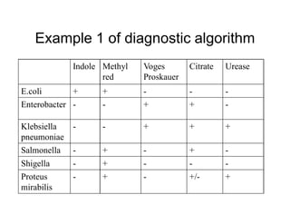 biochemical_identifcation_of_bacteria_slides.pdf