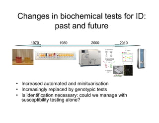 biochemical_identifcation_of_bacteria_slides.pdf