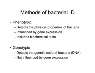 biochemical_identifcation_of_bacteria_slides.pdf
