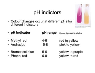 biochemical_identifcation_of_bacteria_slides.pdf