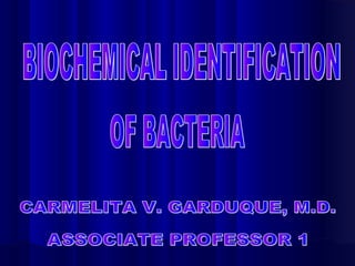 Biochemical identification of bacteria | PPT