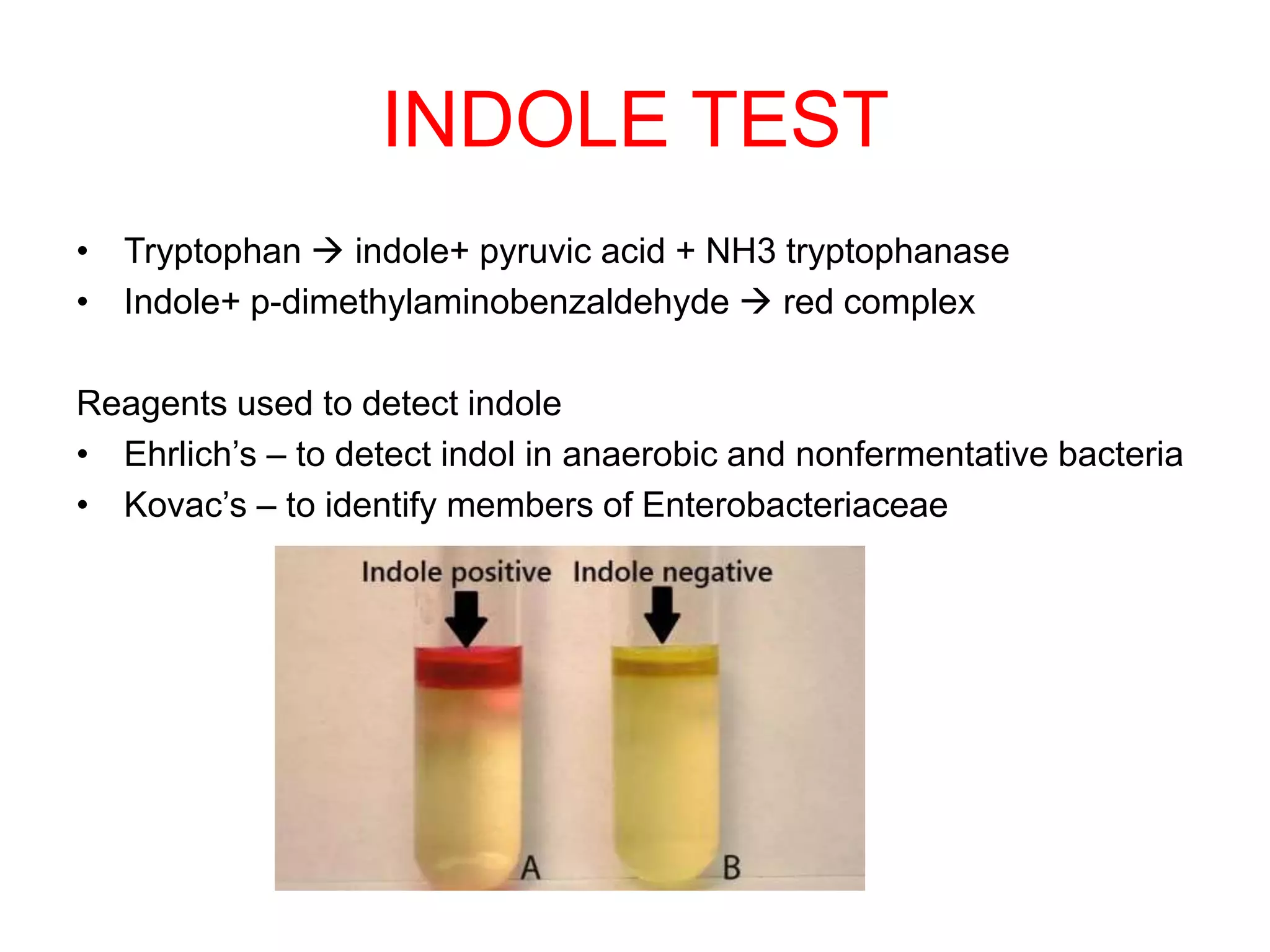 Biochemical Identification of bacteria 2023 sk.ppt
