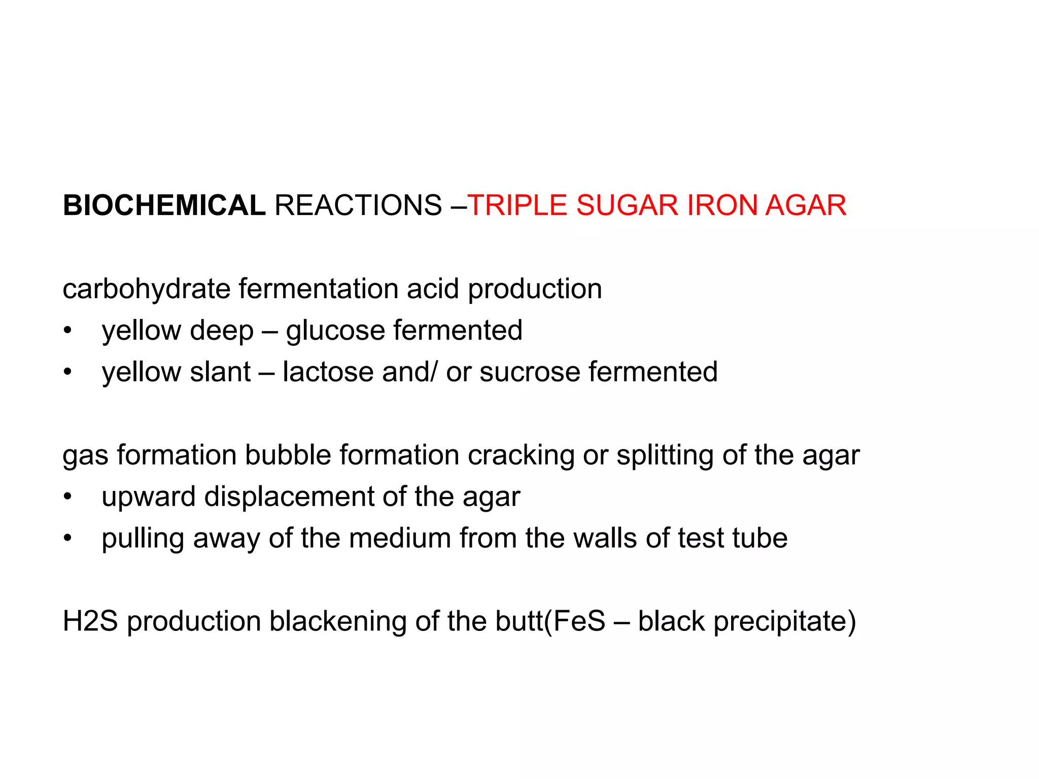 Biochemical Identification of bacteria 2023 sk.ppt