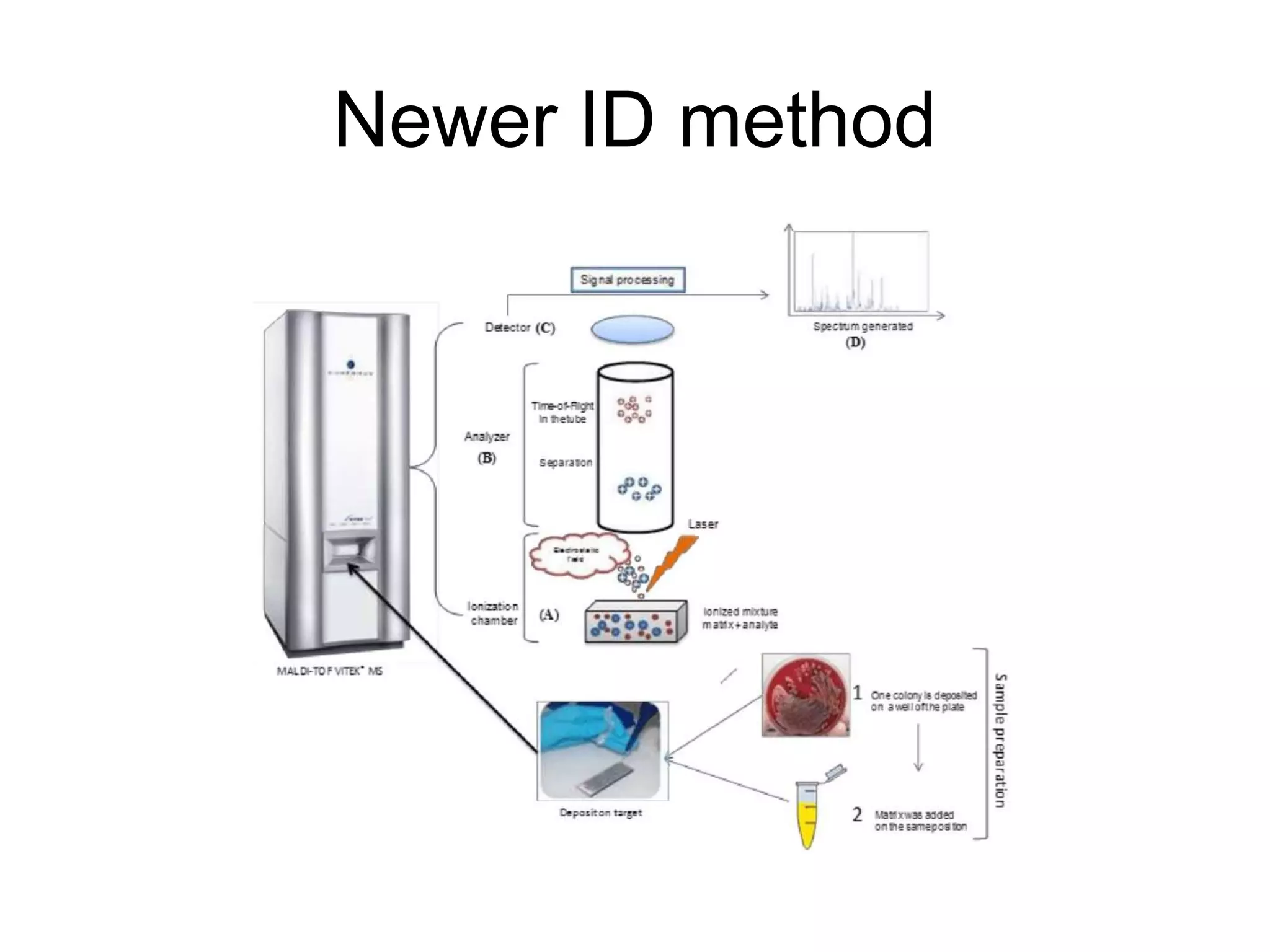 Biochemical Identification of bacteria 2023 sk.ppt