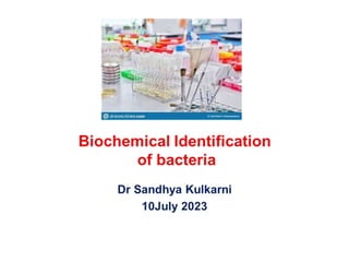 Biochemical Identification of bacteria 2023 sk.ppt | Blood Disorders ...