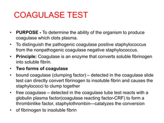Biochemical Identification of bacteria 2023 sk.ppt | Blood Disorders ...