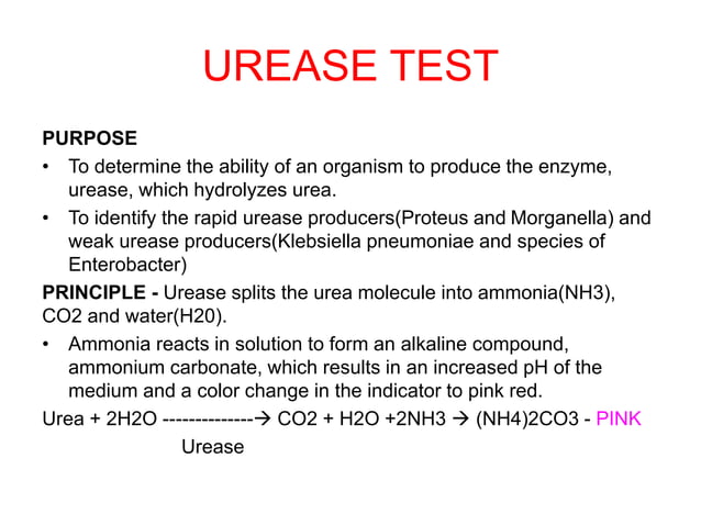 Biochemical Identification of bacteria 2023 sk.ppt | Blood Disorders ...