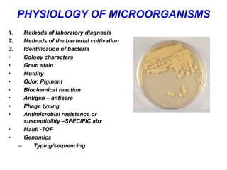Biochemical Identification of bacteria 2023 sk.ppt | Blood Disorders ...